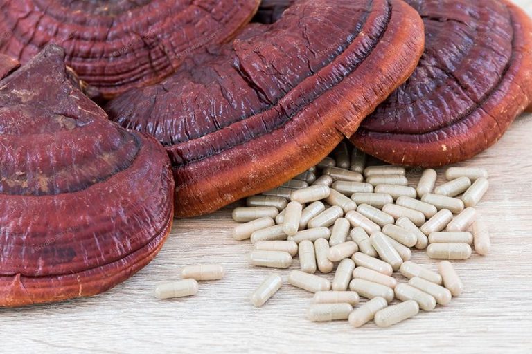 Ganoderma Lucidum, propiedades y beneficios 🍄 - Tu Divina Salud