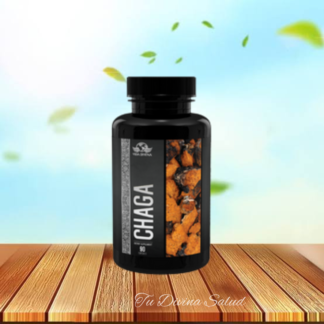 ¿Qué es y para qué sirve el Hongo Chaga? - Tu Divina Salud