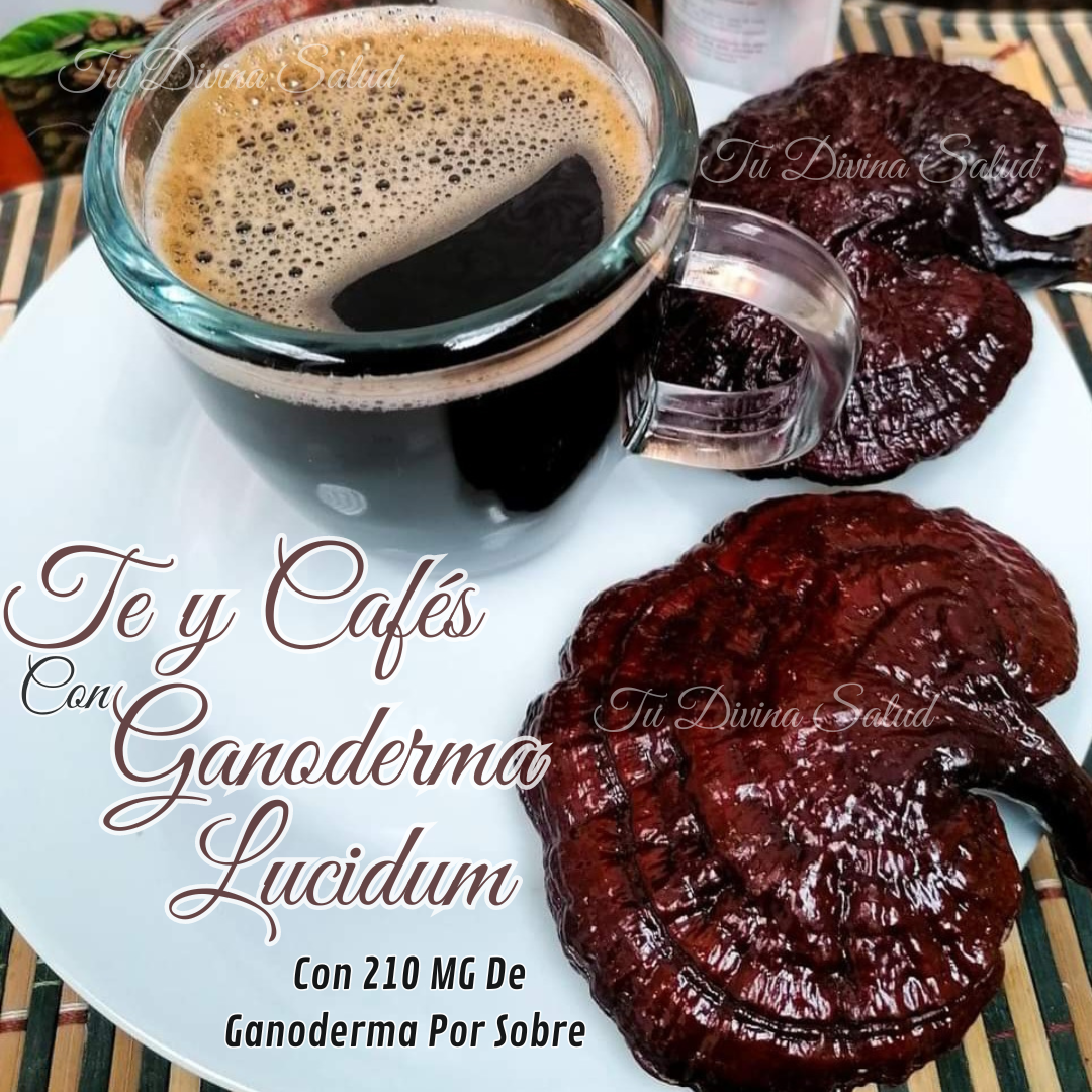 30 Razones Para Consumir Ganoderma - Tu Divina Salud